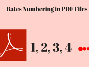 Display Link Preview on Hovering with JavaScript - Codegena